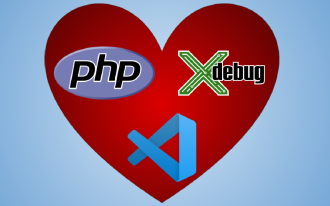 How to Set up VS Code to use PHP with Xdebug 3 on Windows · Pen-y-Fan